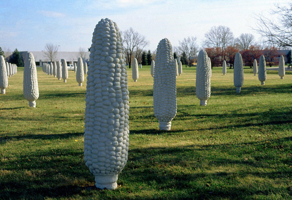 Field of Corn (with Osage Orange Trees) | ColumbusMakesArt.com (en-US)